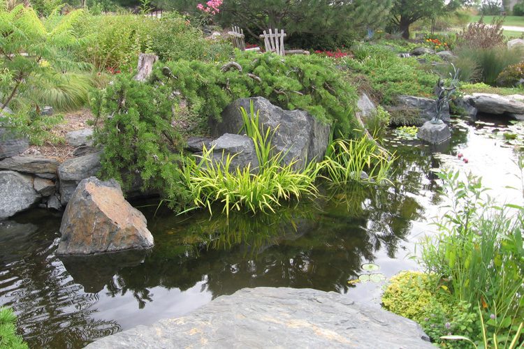Ponds & Water Features | The Bruce Company - Middleton WI